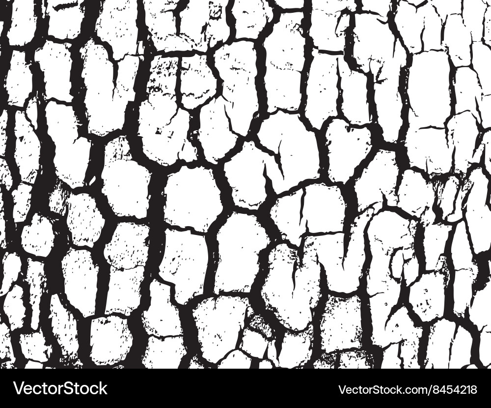Tree Bark Texture Drawing
