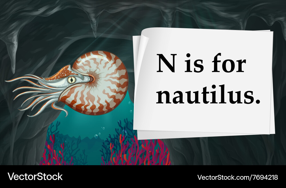 Letter n is for nautilus Royalty Free Vector Image
