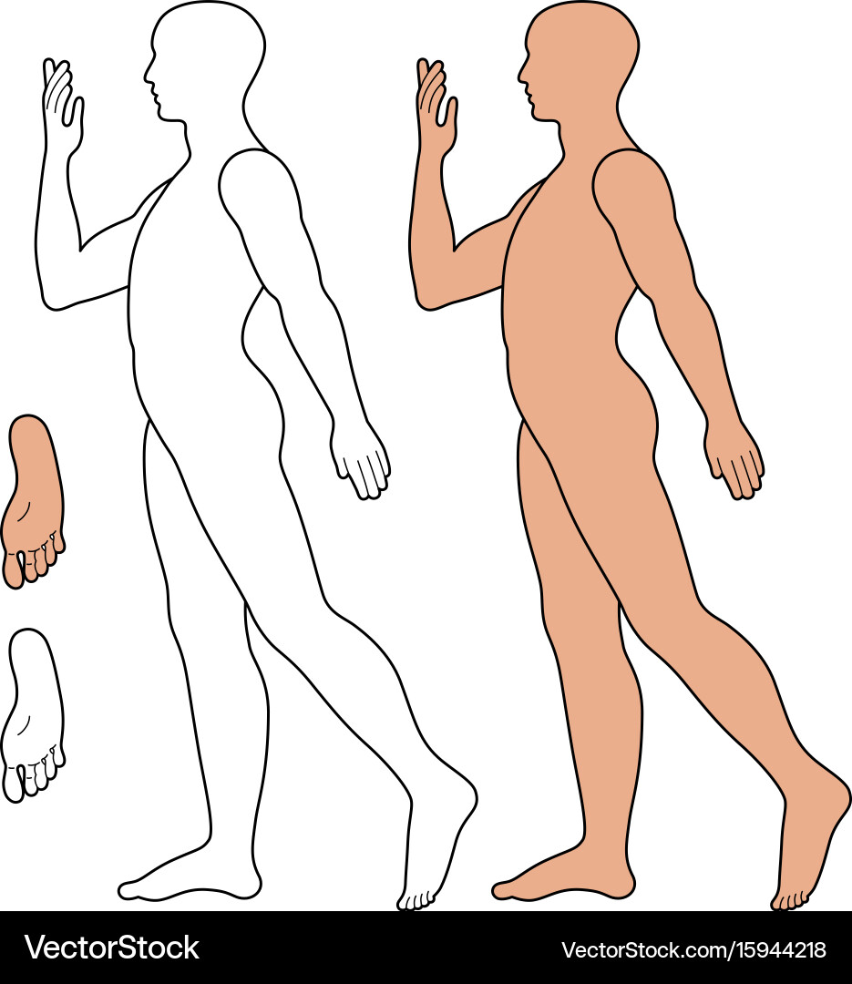 Male Figure Silhouette - Human Form Royalty Free Vector