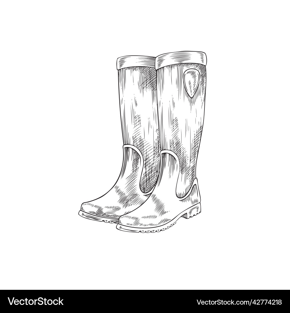Rubber boots hand-drawn monochrome sketch Vector Image