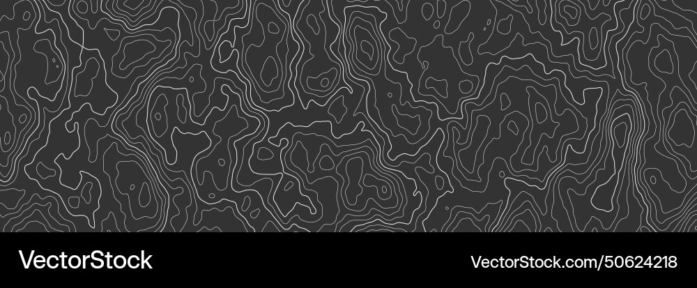 Topographic map line contour geographic Royalty Free Vector