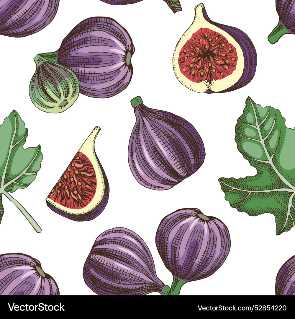 Figs seamless pattern Royalty Free Vector Image
