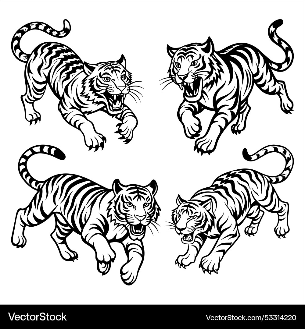 Tiger pouncing svg Royalty Free Vector Image - VectorStock
