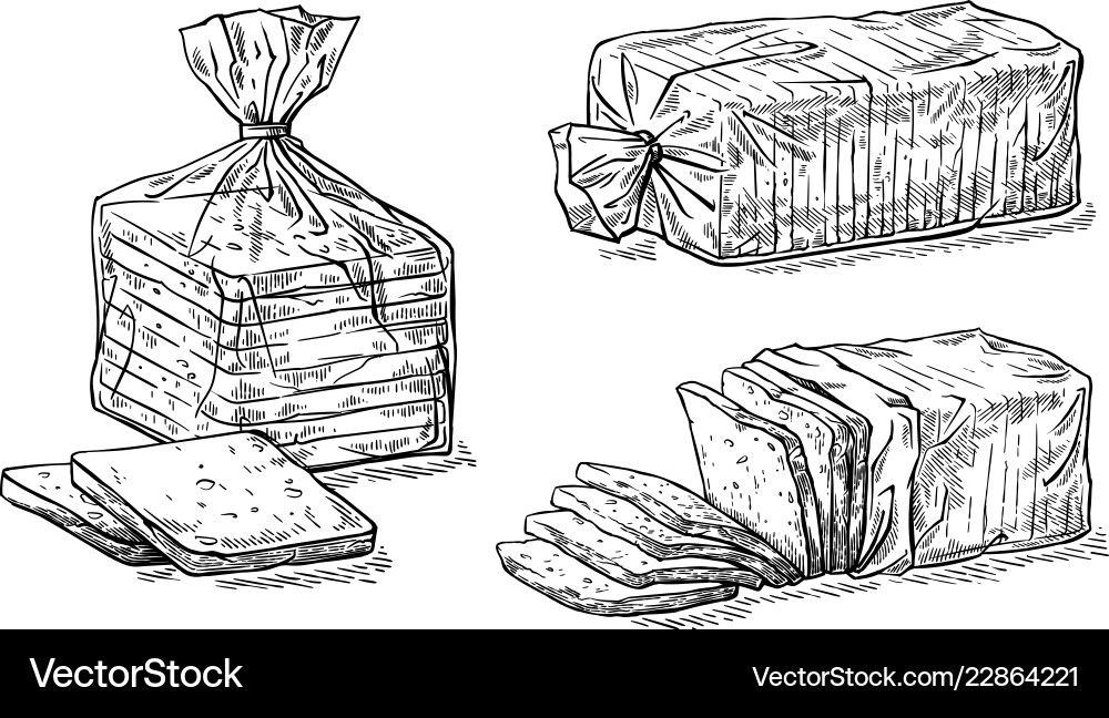 Collection of natural elements sliced toast Vector Image