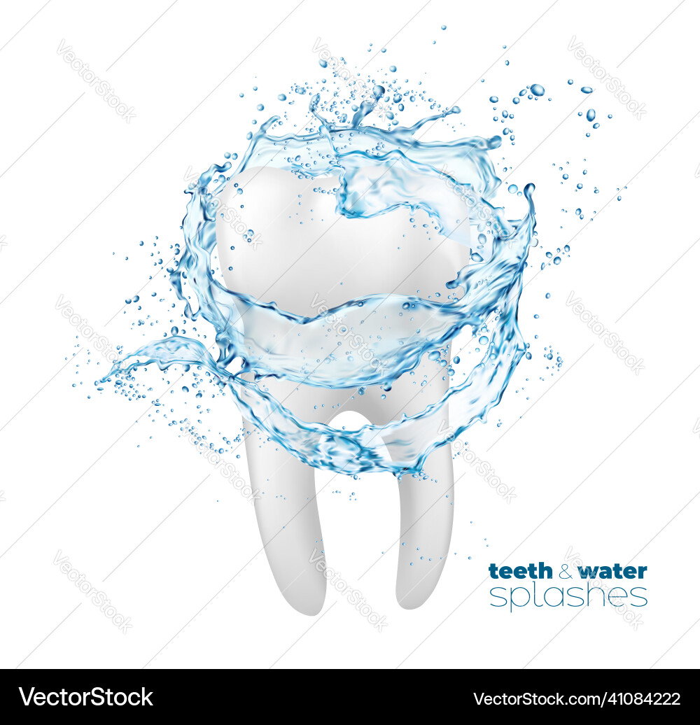 Teeth and clean water flow splash mouth rinse Vector Image