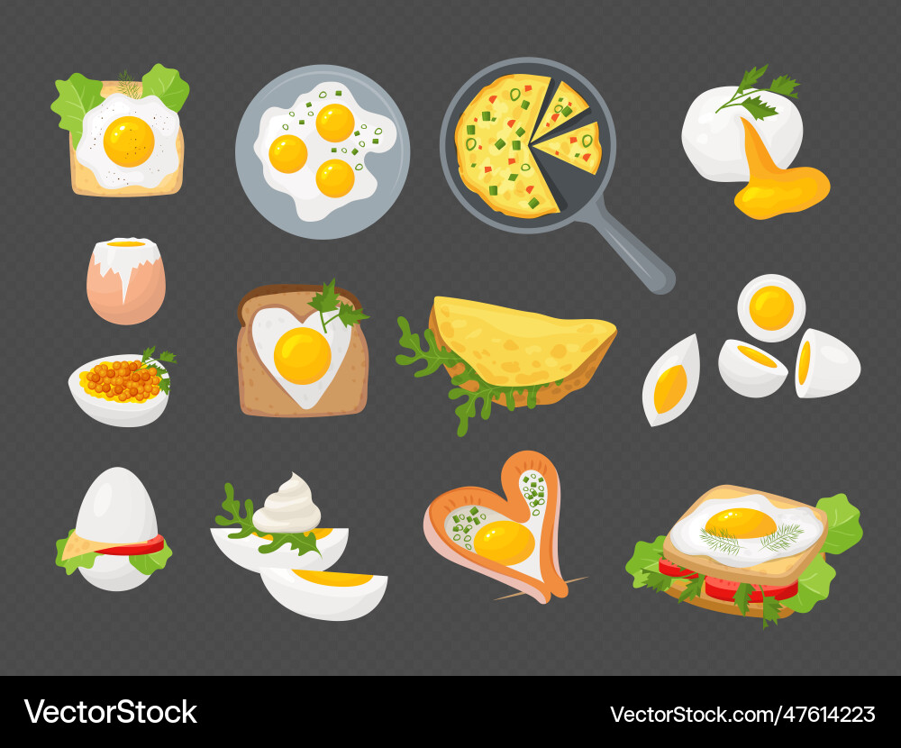 Eggs products omelette from organic natural Vector Image