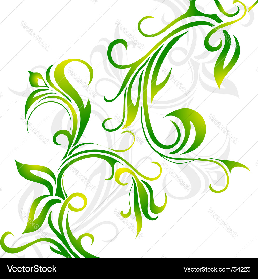 Floral vine Royalty Free Vector Image - VectorStock