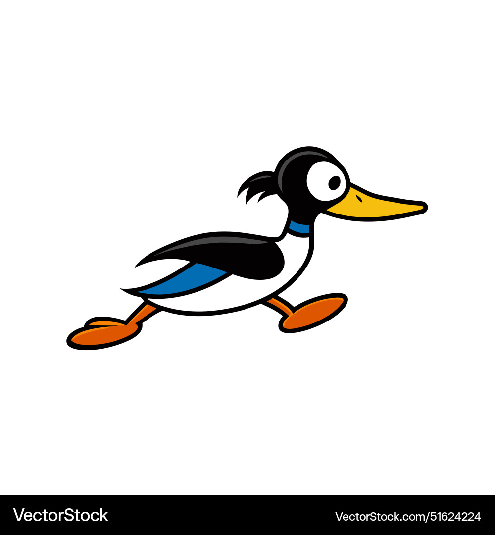 Bufflehead duck runs icon Royalty Free Vector Image