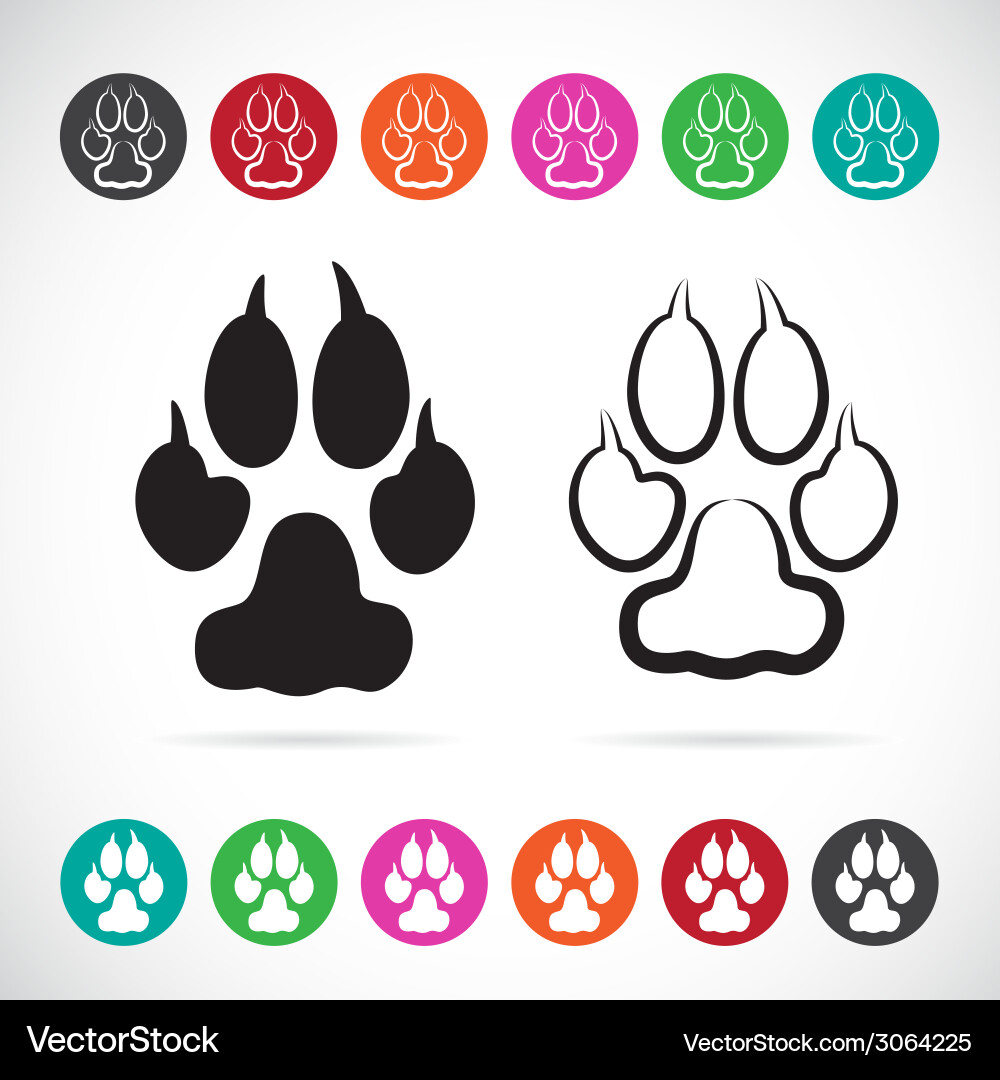 Image of paw print Royalty Free Vector Image - VectorStock