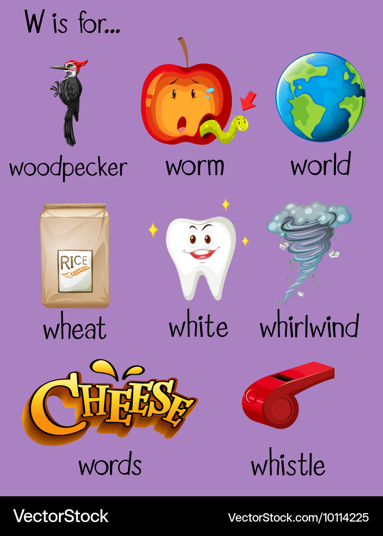 Many words begin with letter w Royalty Free Vector Image