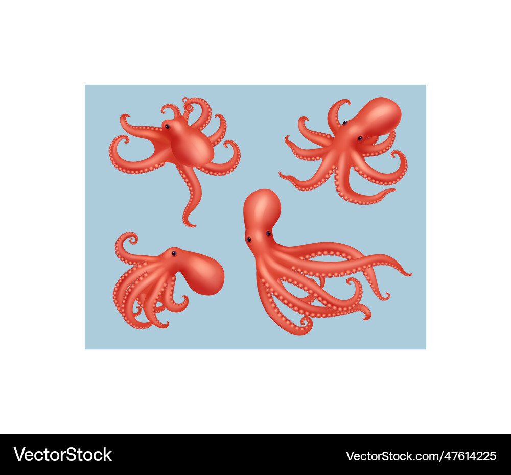 Realistic Octopus in Deep Ocean Royalty Free Vector Image