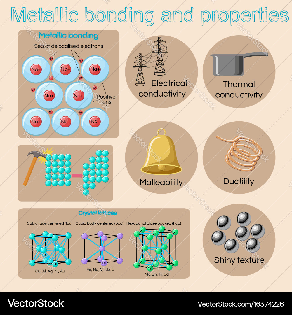 Metallic bonding and basic physical properties Vector Image