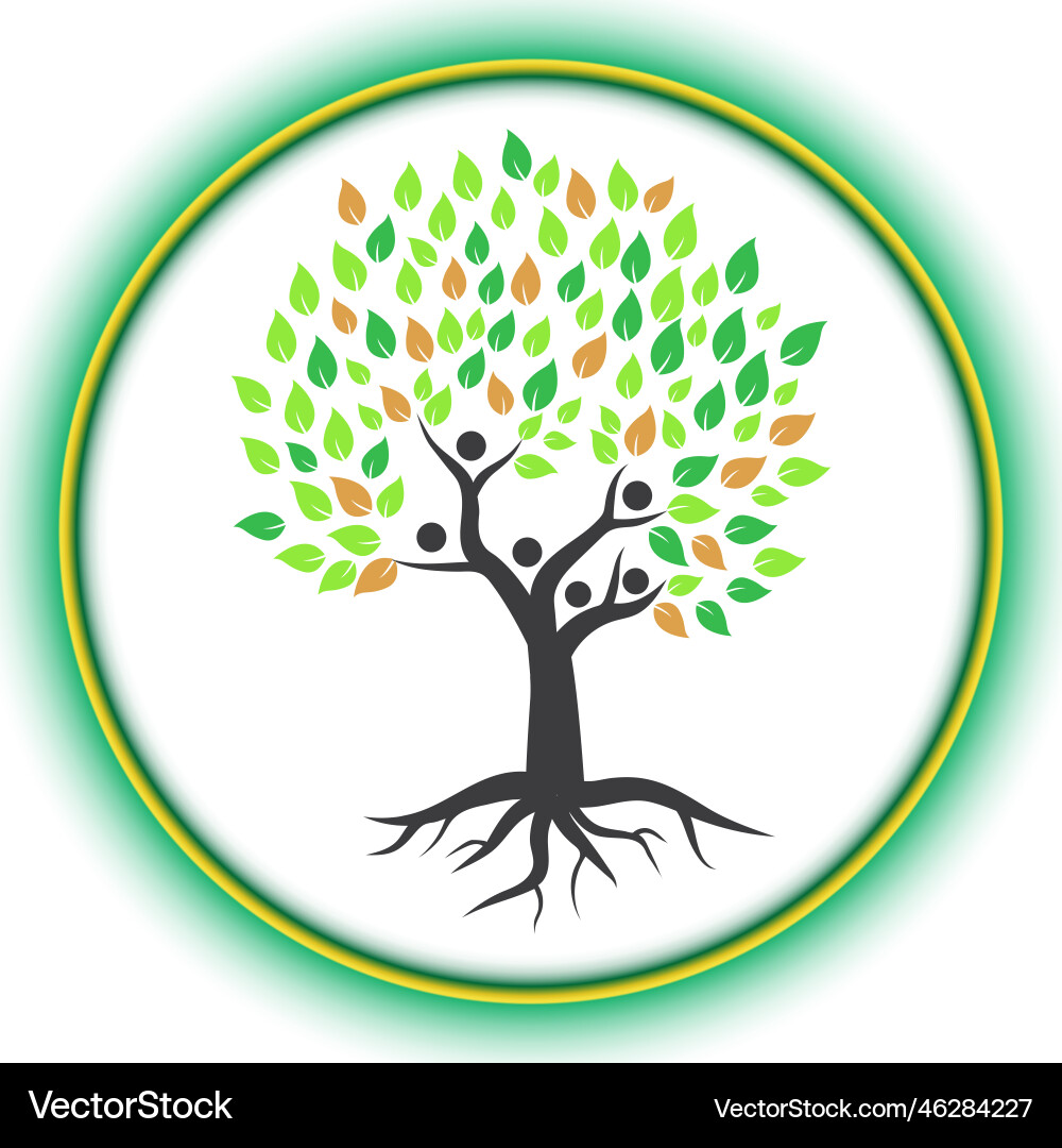Colorful Family Tree Logo Royalty Free Vector Image