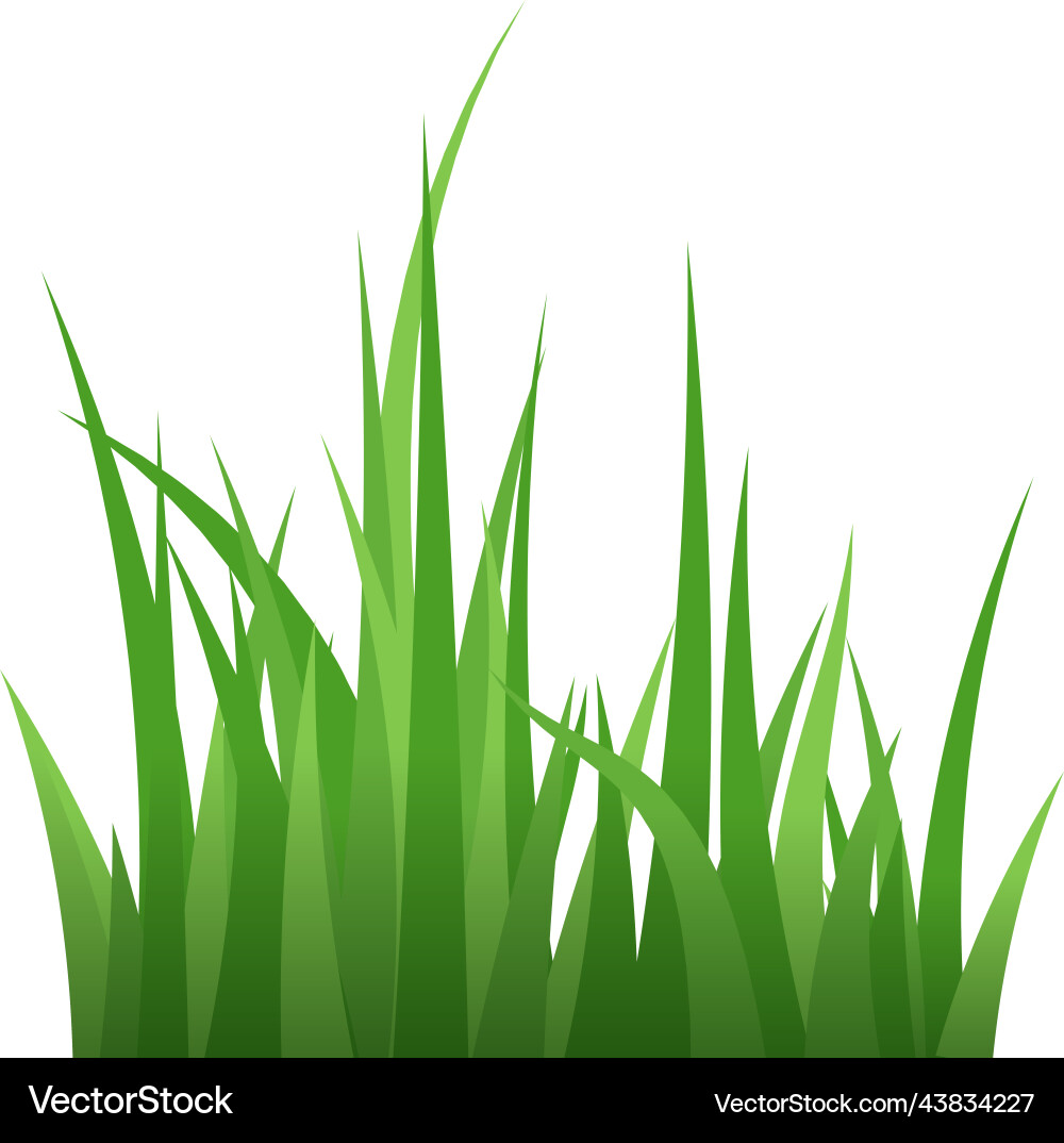 Green grass blades fresh summer plants eco Vector Image