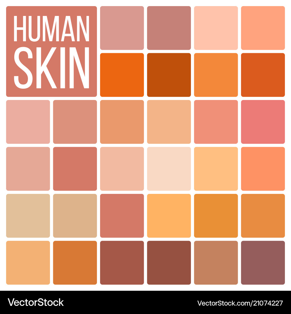 Human skin various body tones chart Royalty Free Vector