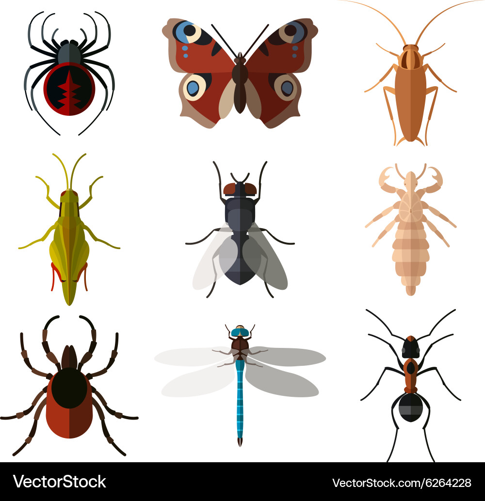 Set of insect flat icons Royalty Free Vector Image