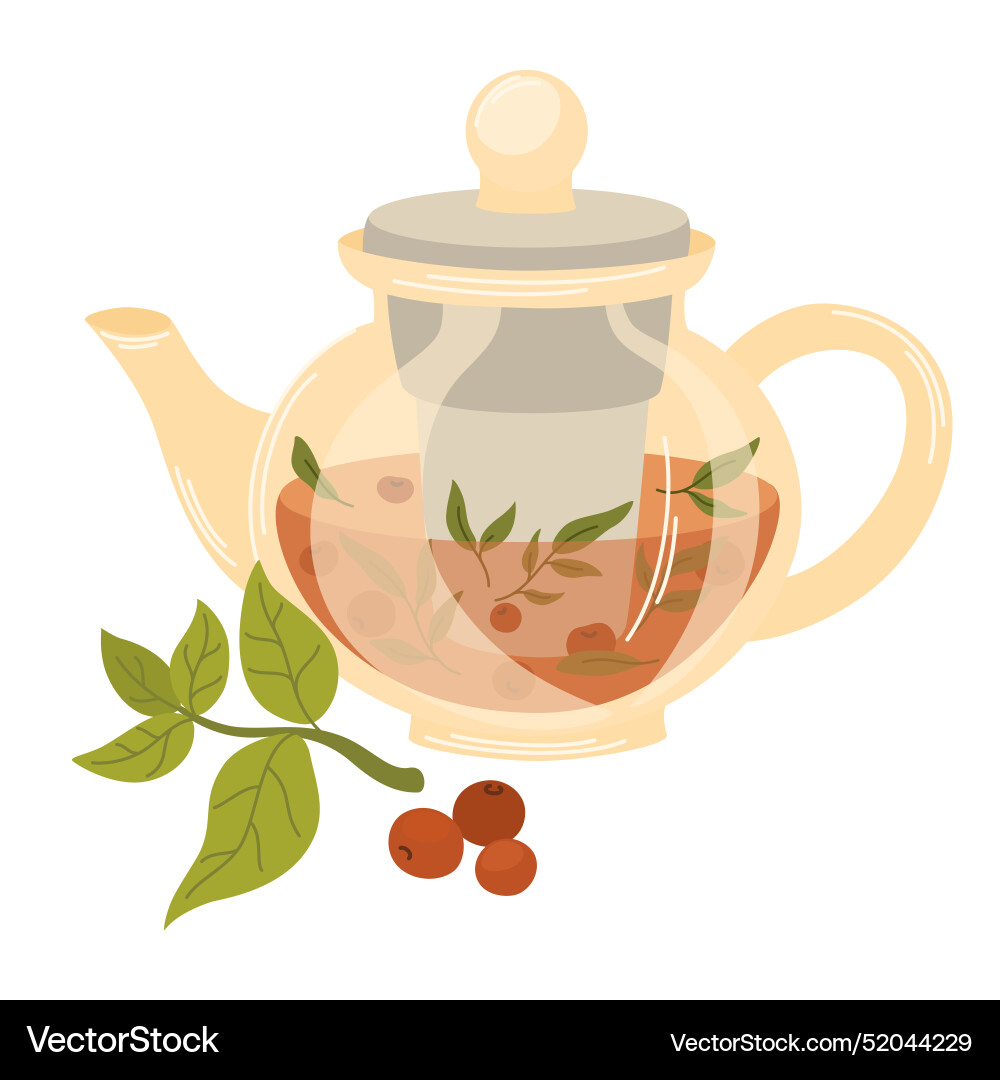 2161 herbal tea Royalty Free Vector Image - VectorStock