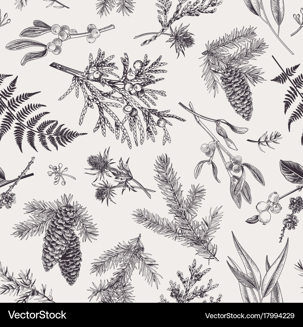 Christmas seamless botanical pattern Royalty Free Vector