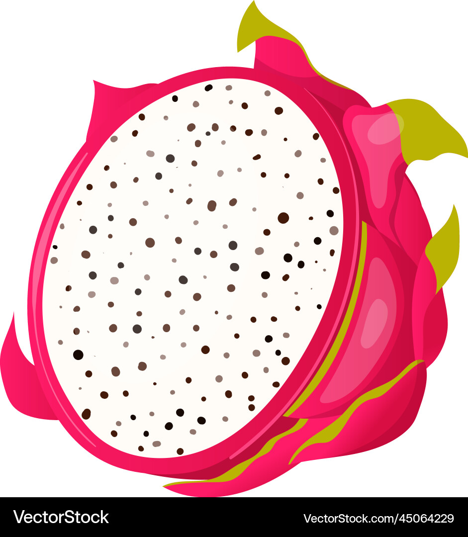 Dragon fruit slice cartoon Royalty Free Vector Image