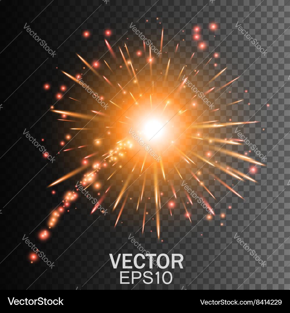 Firework on transparent background Royalty Free Vector Image