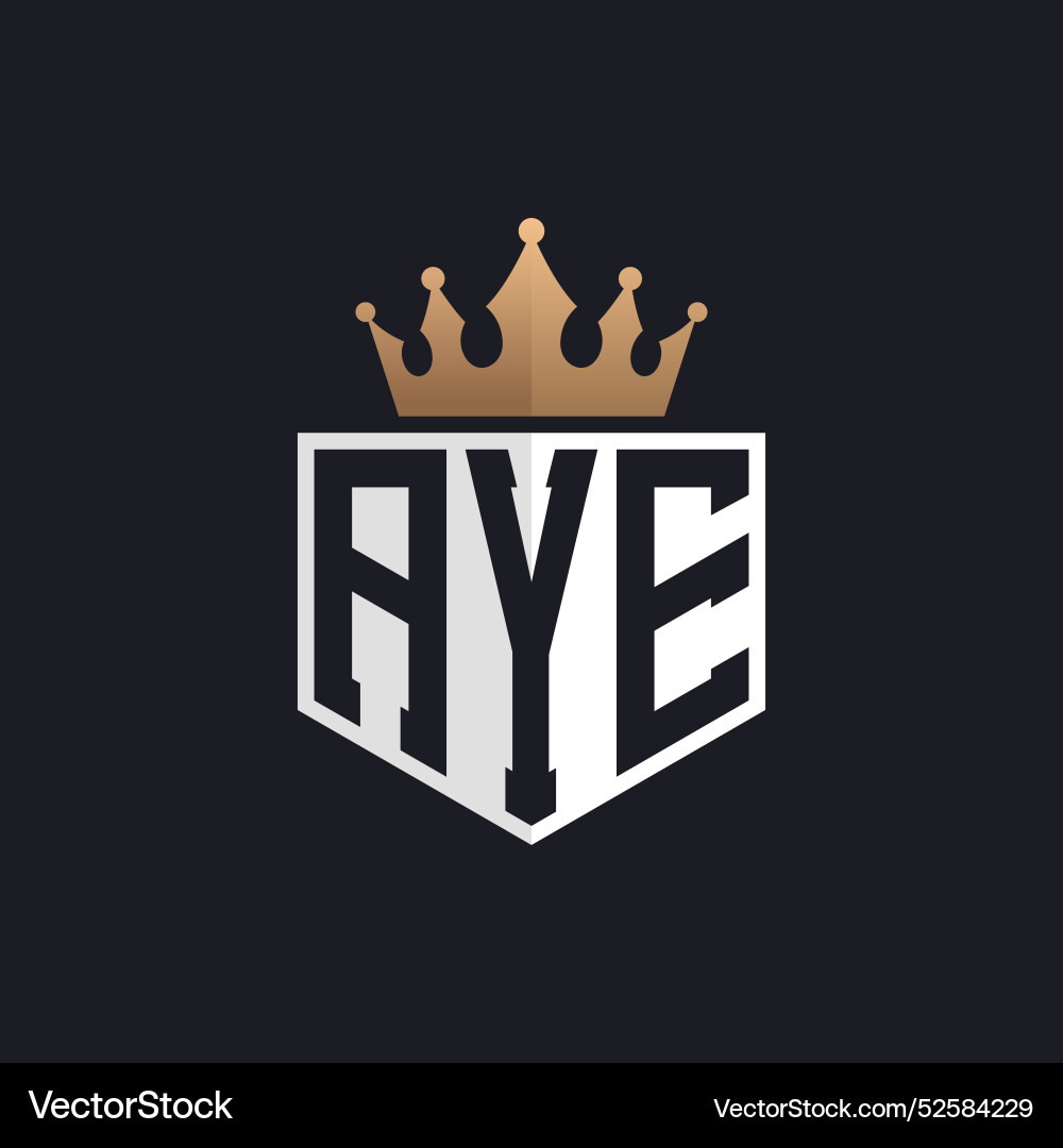 Luxury aye logo with crown elegant initials Vector Image