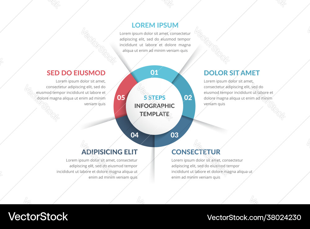 Circle diagram with five elements Royalty Free Vector Image