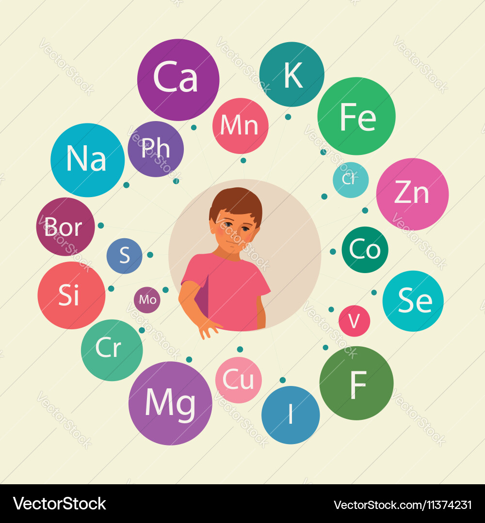 Basic micronutrients Royalty Free Vector Image