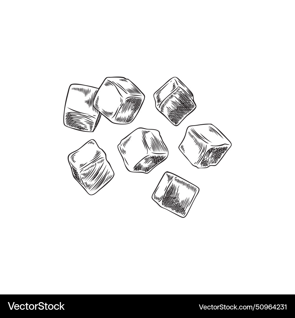 Ice cubes sketch Royalty Free Vector Image - VectorStock