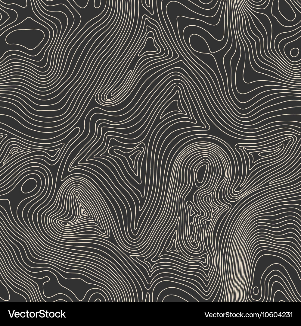Topographic Map Background Royalty Free Vector Image