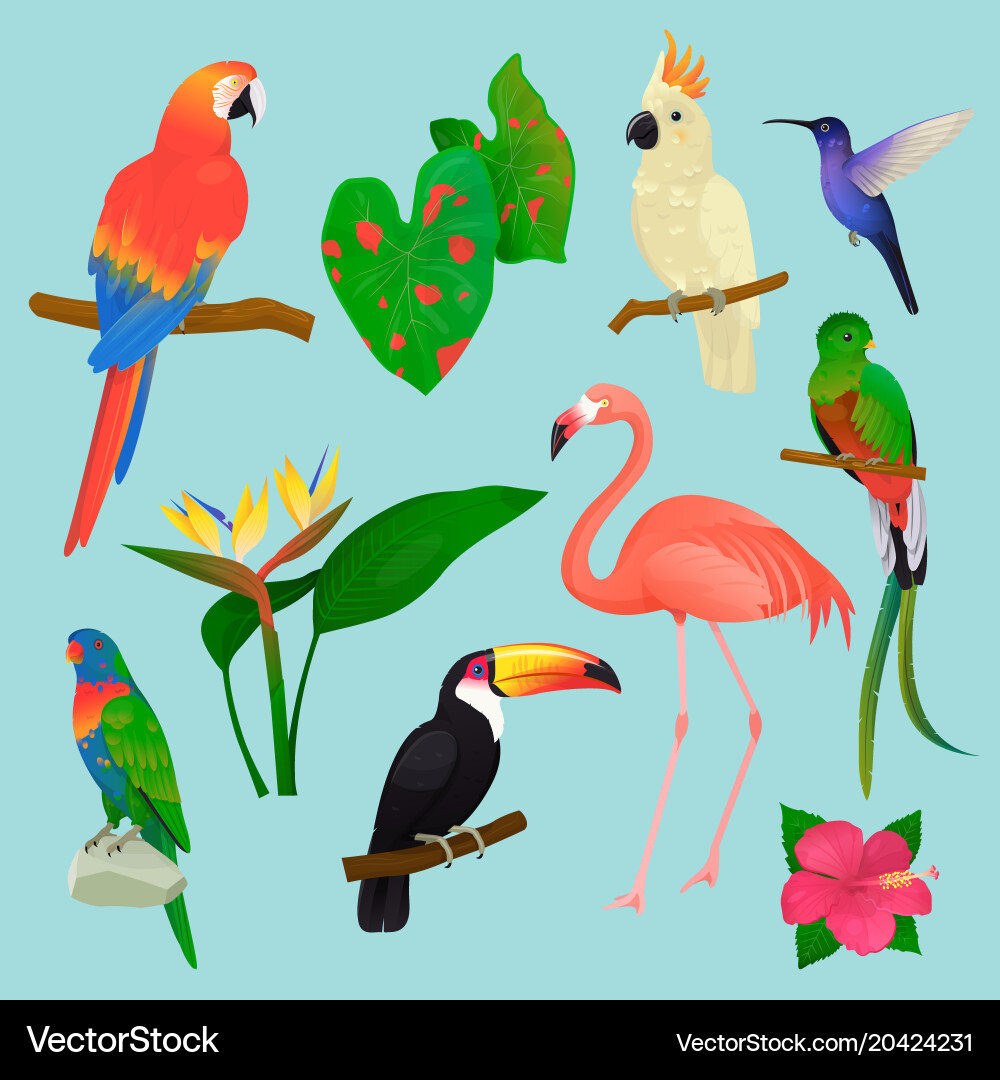 Tropical birds flamingo and exotic parrot Vector Image