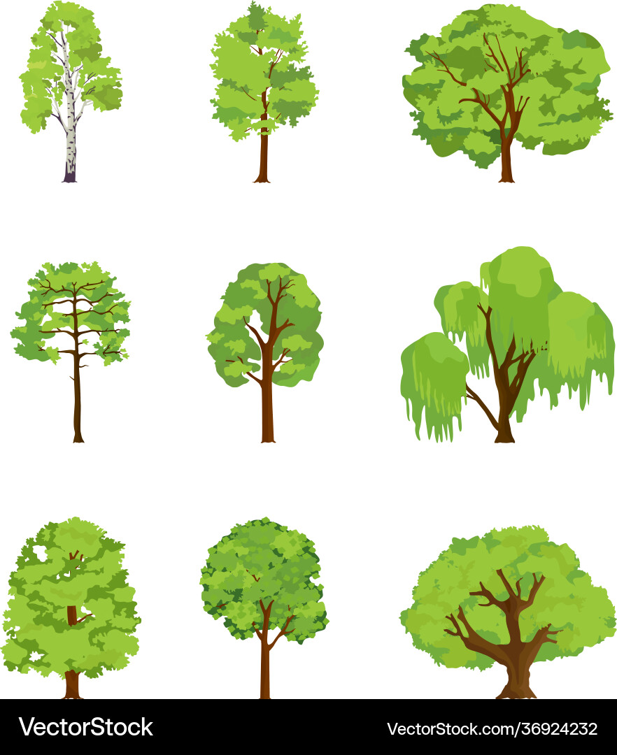 Cartoon trees different birch poplar elm Vector Image