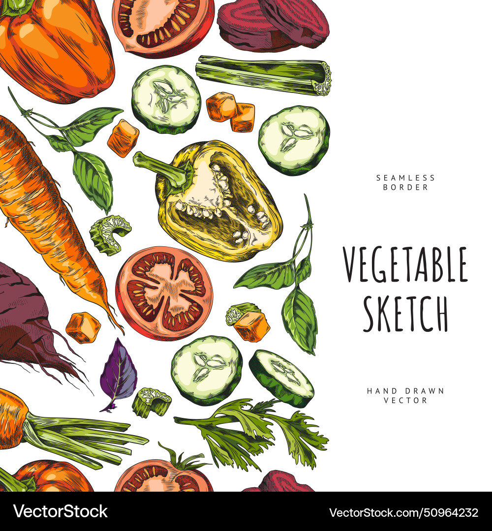 Colorful hand-drawn vegetable border Royalty Free Vector