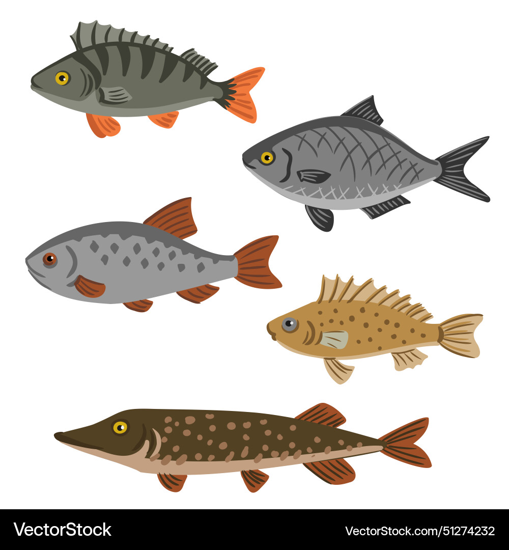 Drawing set of fishes Royalty Free Vector Image