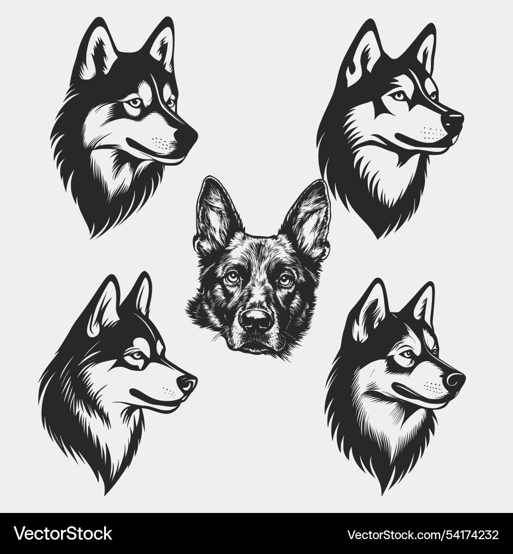 German shepherd svg dog bundle file Royalty Free Vector