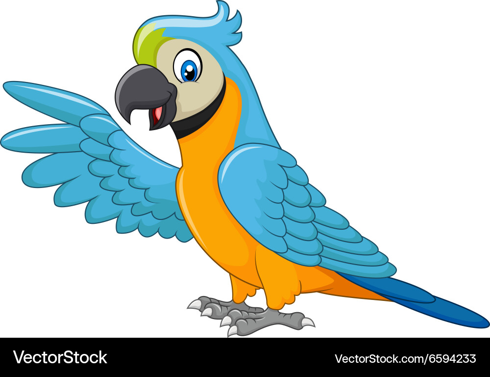 Cartoon macaw presenting isolated Royalty Free Vector Image