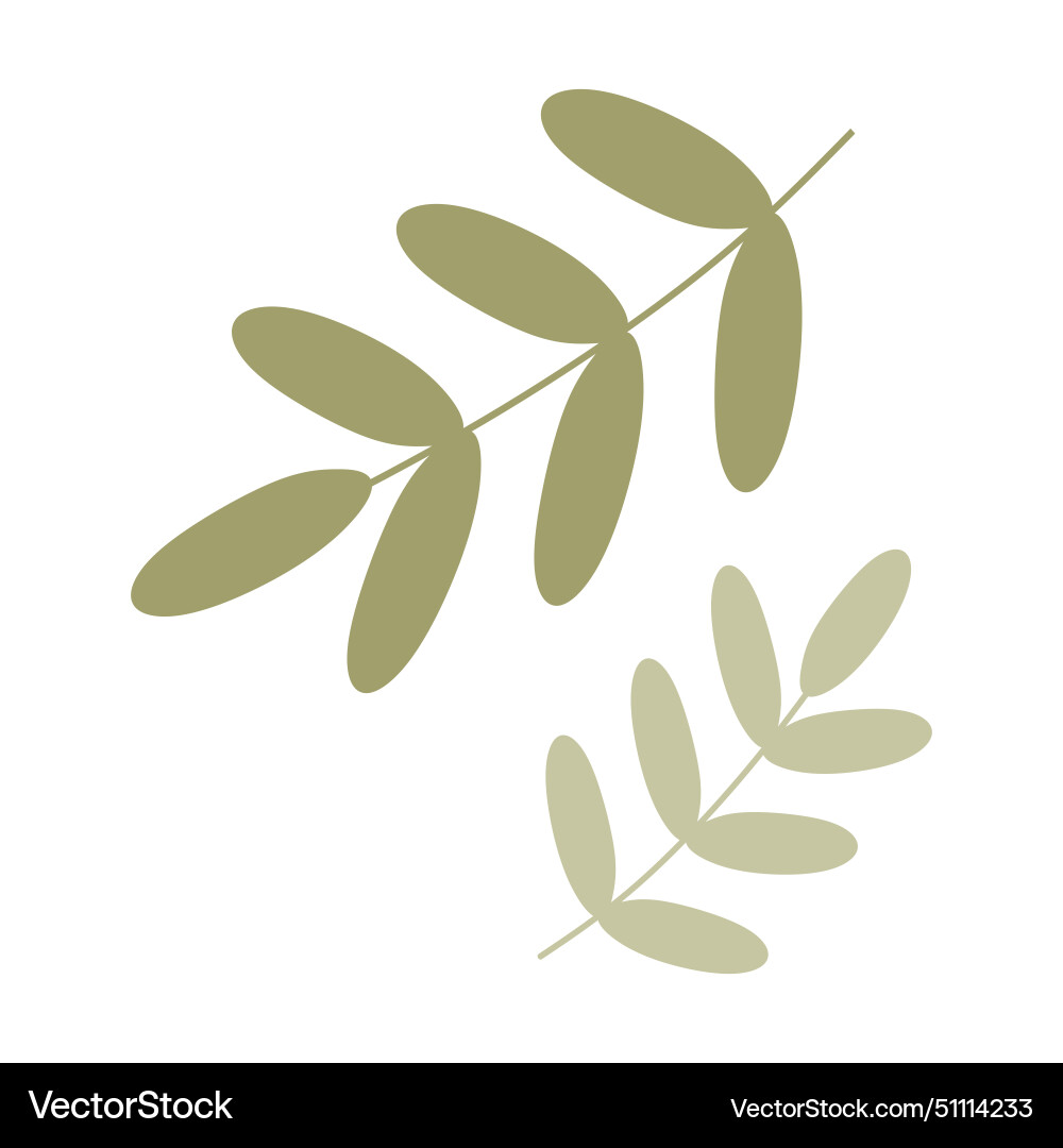 Flat green palm tree branch cartoon acacia Vector Image