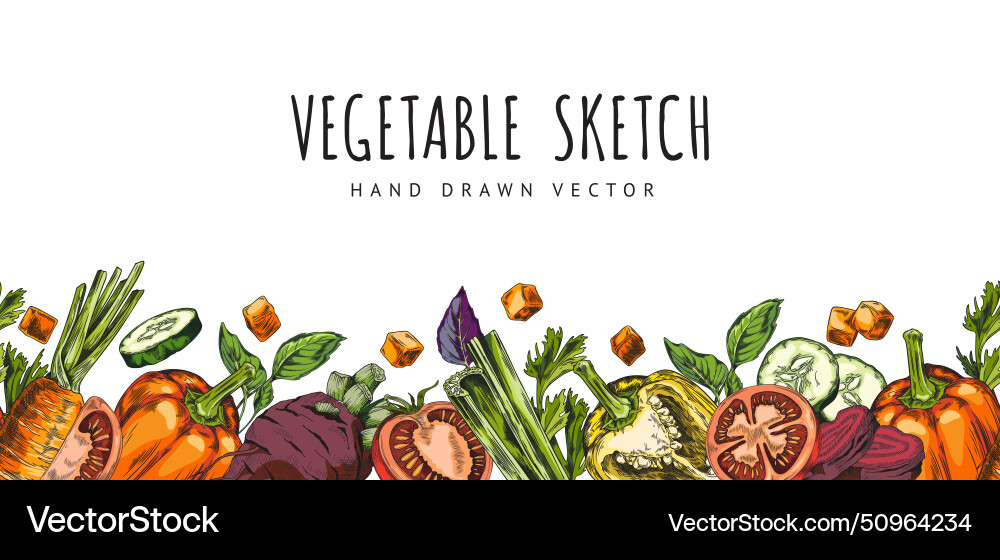 Colorful vegetables border with place Royalty Free Vector