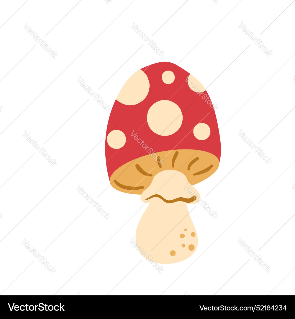 Fly agaric isolated on white background amanita Vector Image