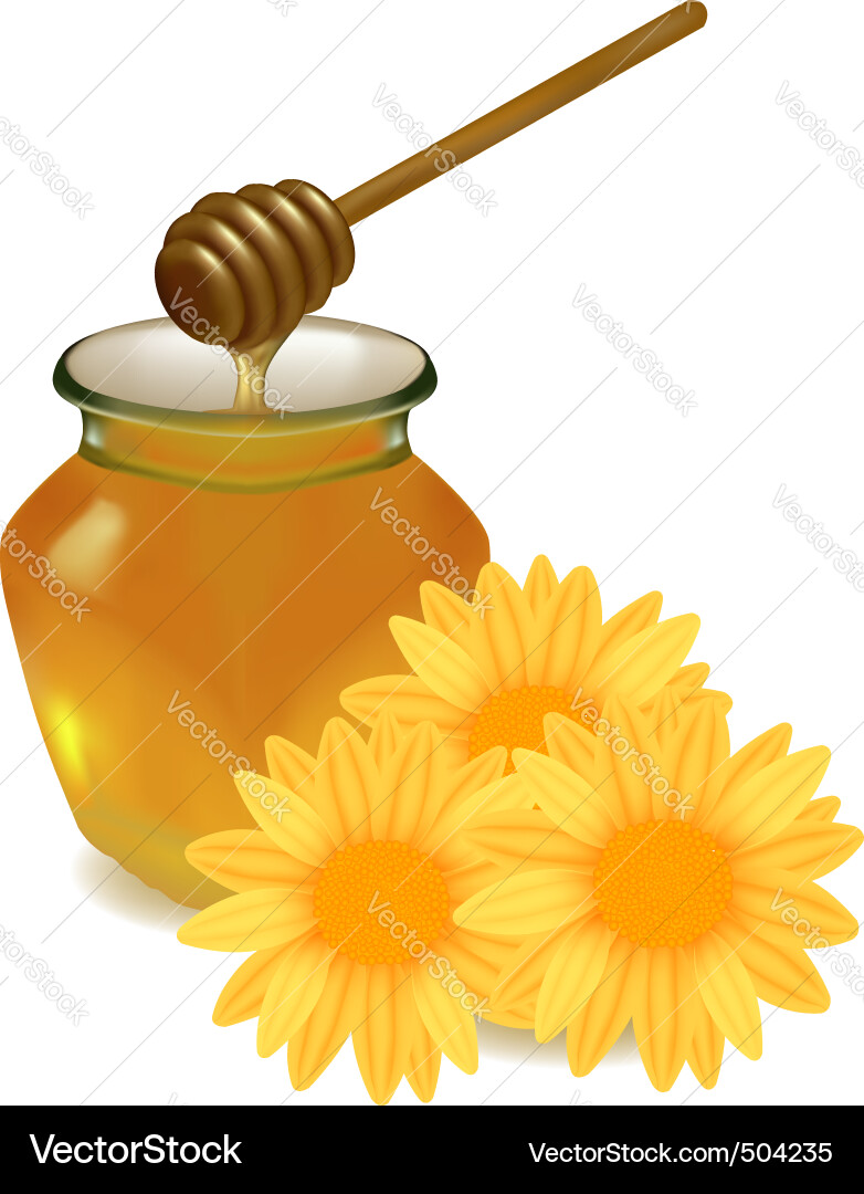 Honey with yellow flowers Royalty Free Vector Image