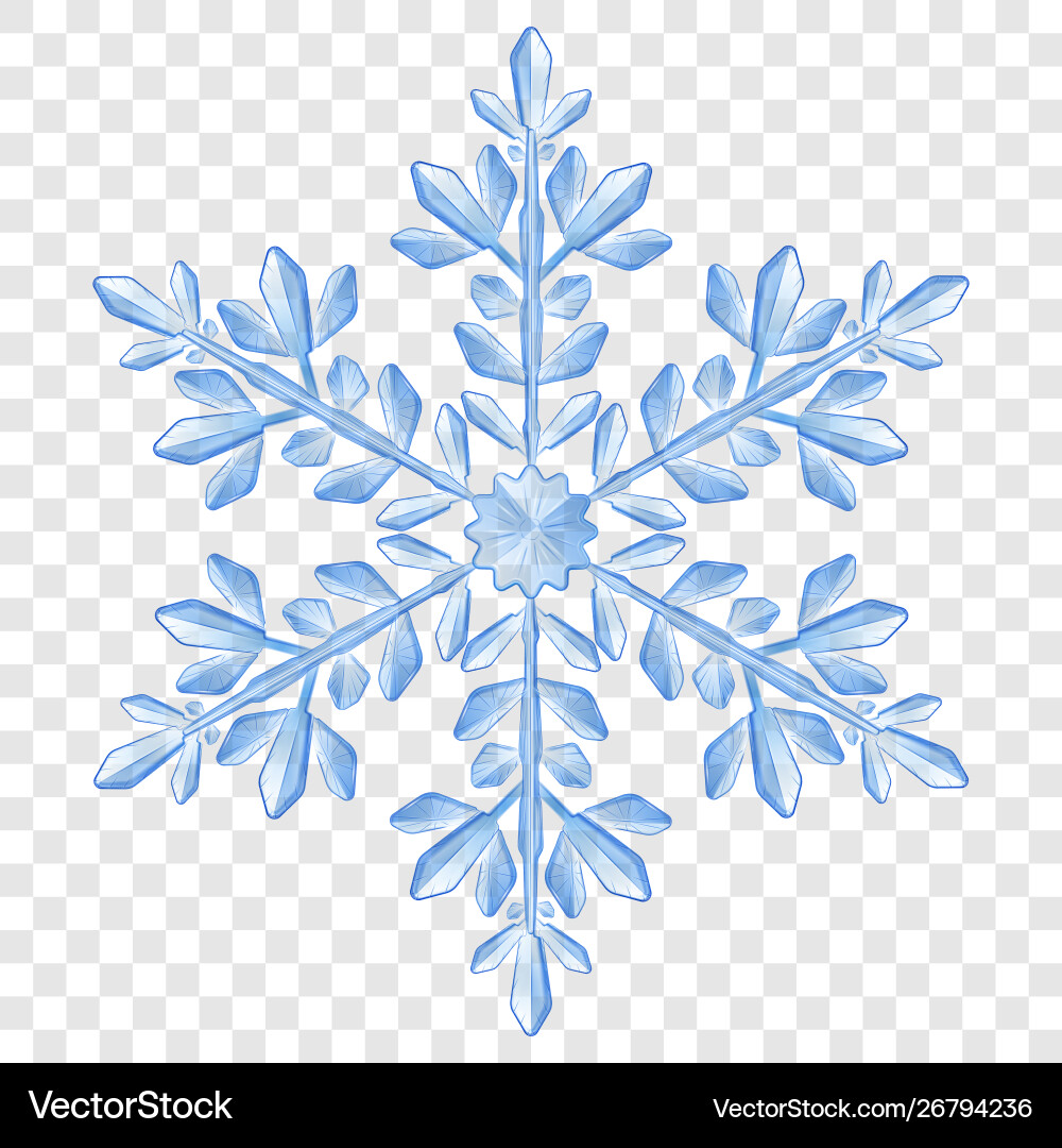 Big translucent christmas snowflake Royalty Free Vector