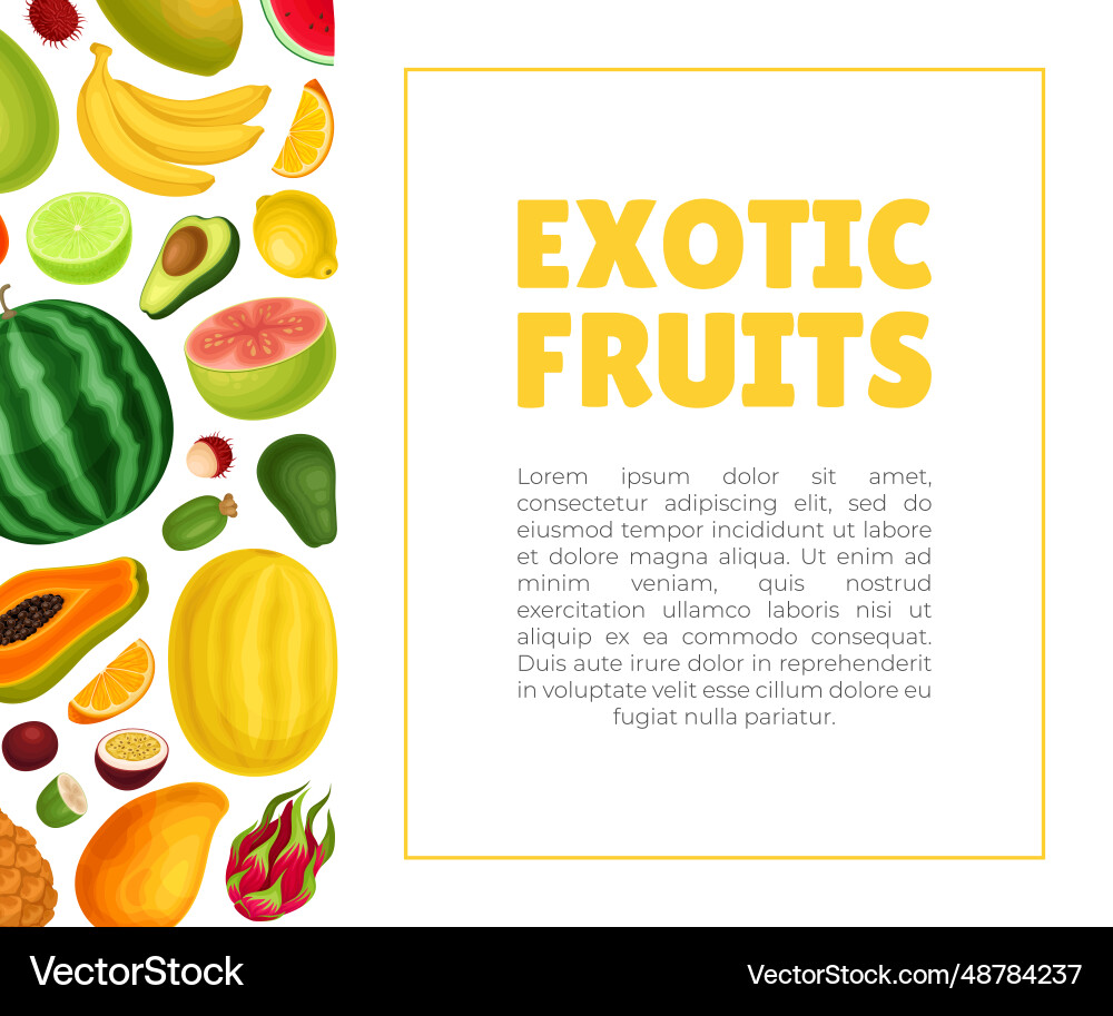 Exotic fruit banner design with bright sweet Vector Image