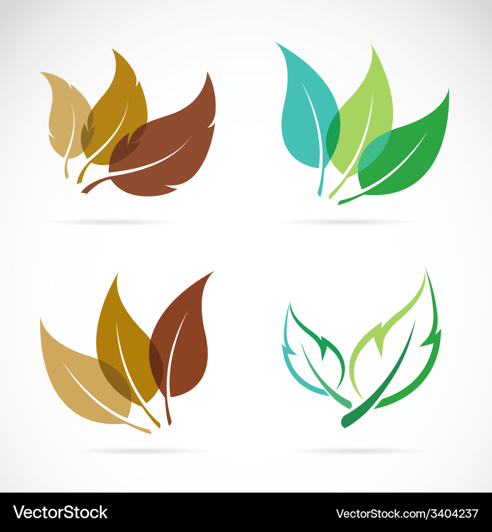 Image of leaves design Royalty Free Vector Image