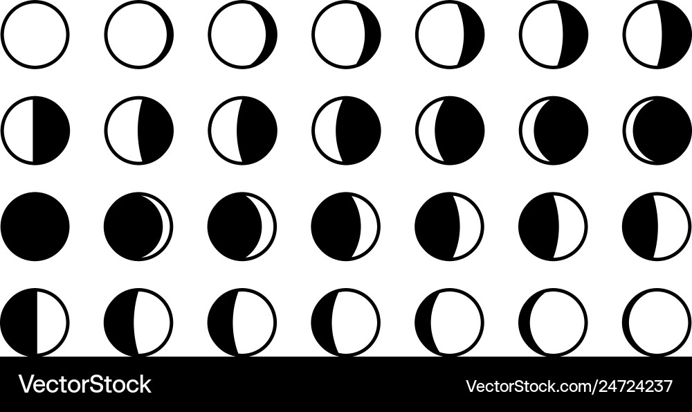 Lunar moon phases cycle all 28 shapes for each Vector Image