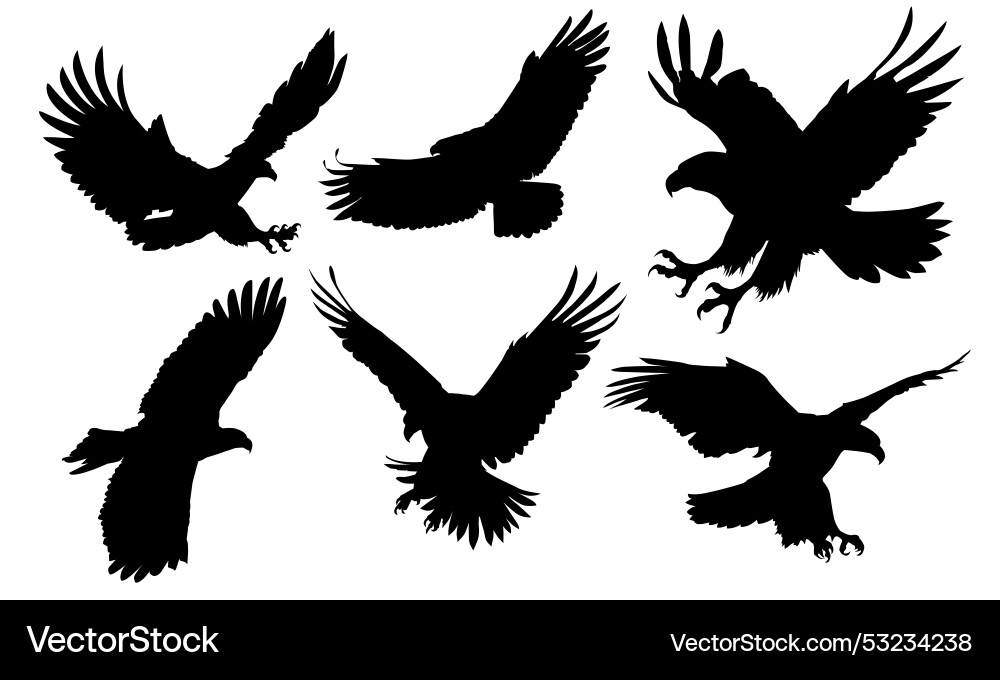 Animals eagle hawk bird fly swoop attack Vector Image