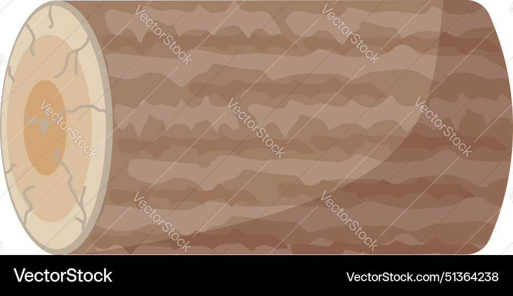 Cartoon log cross section Royalty Free Vector Image
