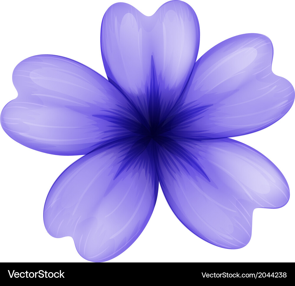 Single Violet Flower Royalty Free Vector Image