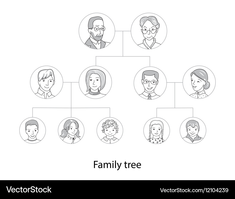 Family tree chart thin line style Royalty Free Vector Image