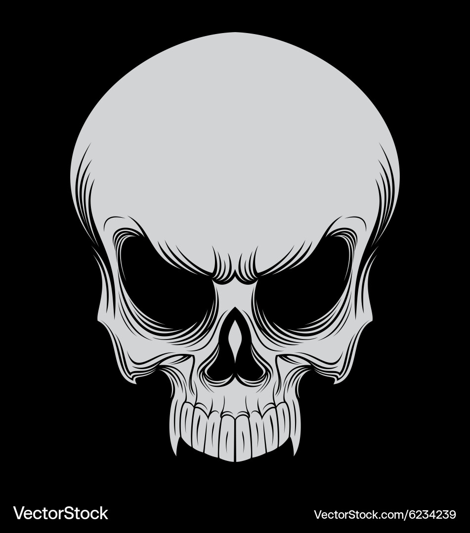 Skulls head Royalty Free Vector Image - VectorStock