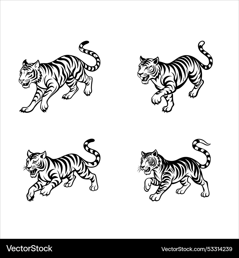 Tiger running svg Royalty Free Vector Image - VectorStock