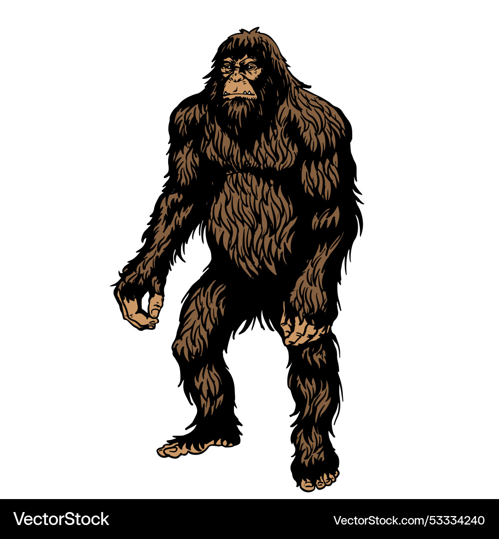 Bigfoot standing Royalty Free Vector Image - VectorStock